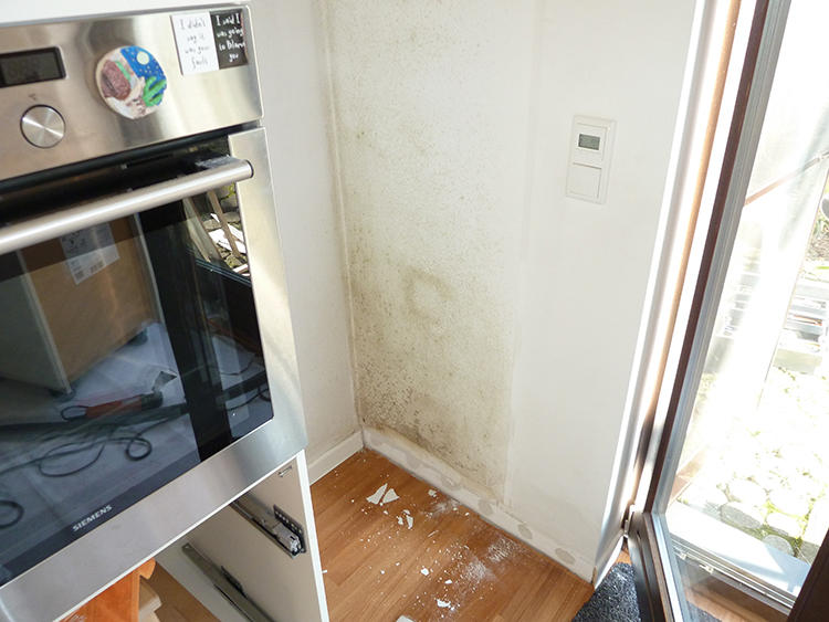 Thomas Krick - Baubiologie